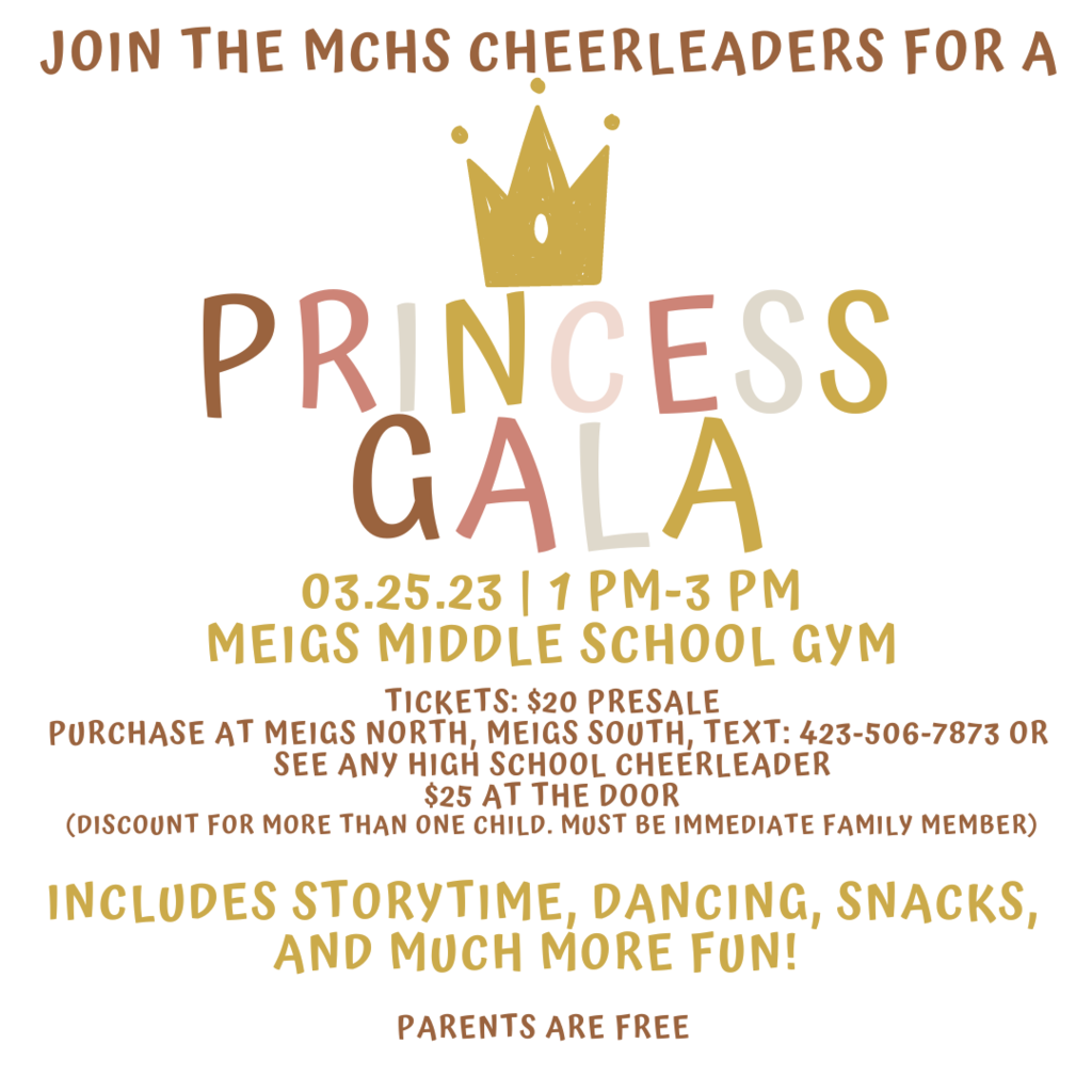 Live Feed | Meigs South Elementary